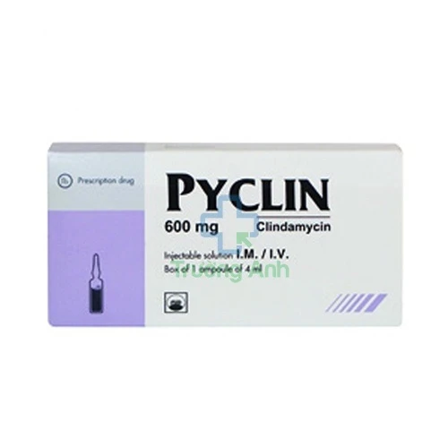 Pyclin 600 tiêm - Thuốc điều trị nhiễm khuẩn hiệu quả, giá tốt